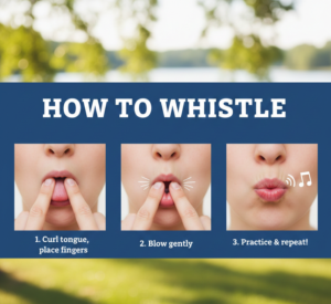 How to Whistle: The Complete Step-by-Step Guide for Beginners